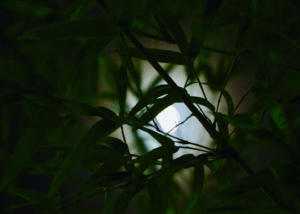 School of Design – GSA Postgraduate Degree Show 2023